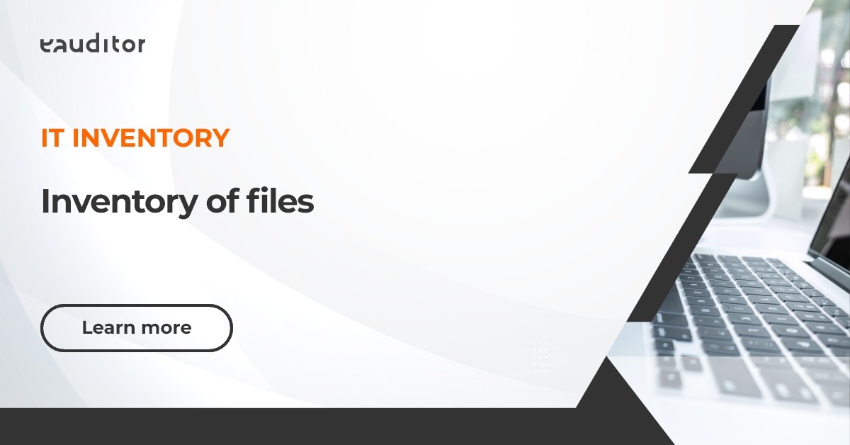 Inventory of files on computers - eAuditor
