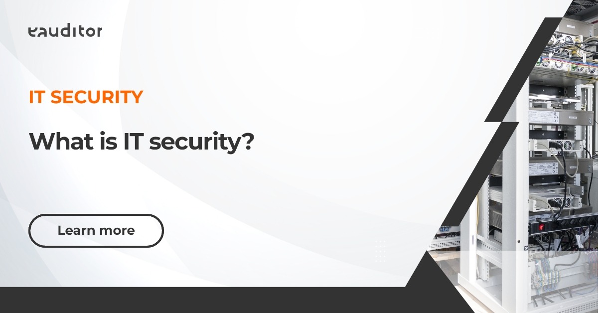 IT security and leak protection - eAuditor